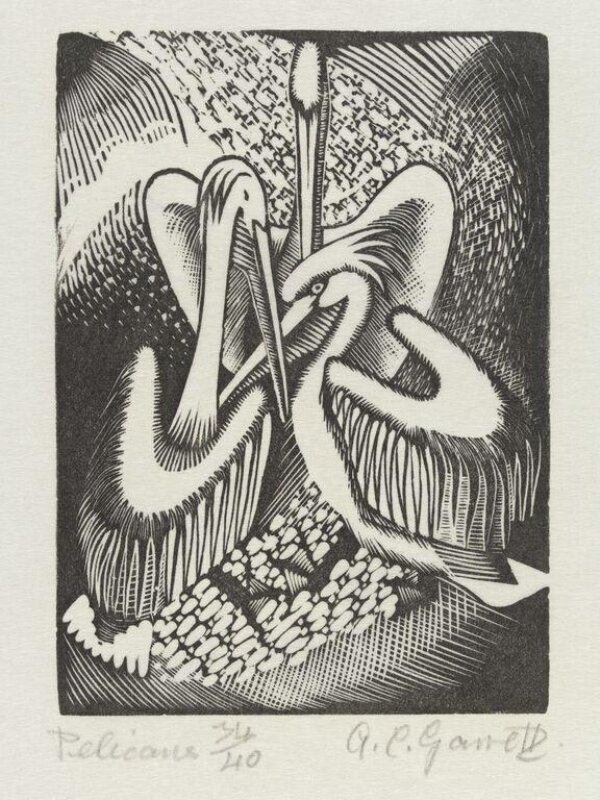 Pelicans | Garrett, Albert | V&A Explore The Collections