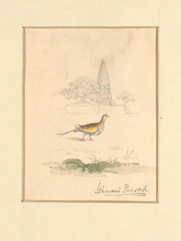 Bird and Temple | Ishwari Prasad | V&A Explore The Collections