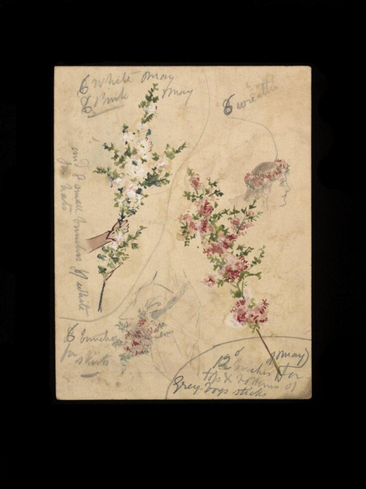 Wilhelm Pantomime Designs | Wilhelm | V&A Explore The Collections