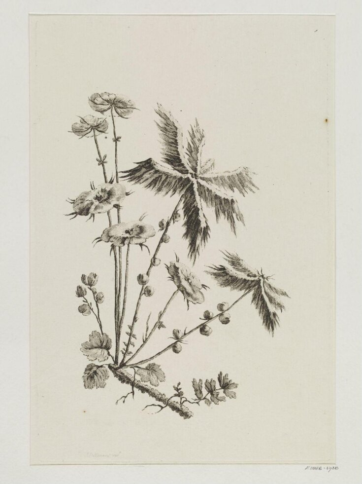 Recœil de fleurs de caprice inventé et dessiné par jean pillement ...