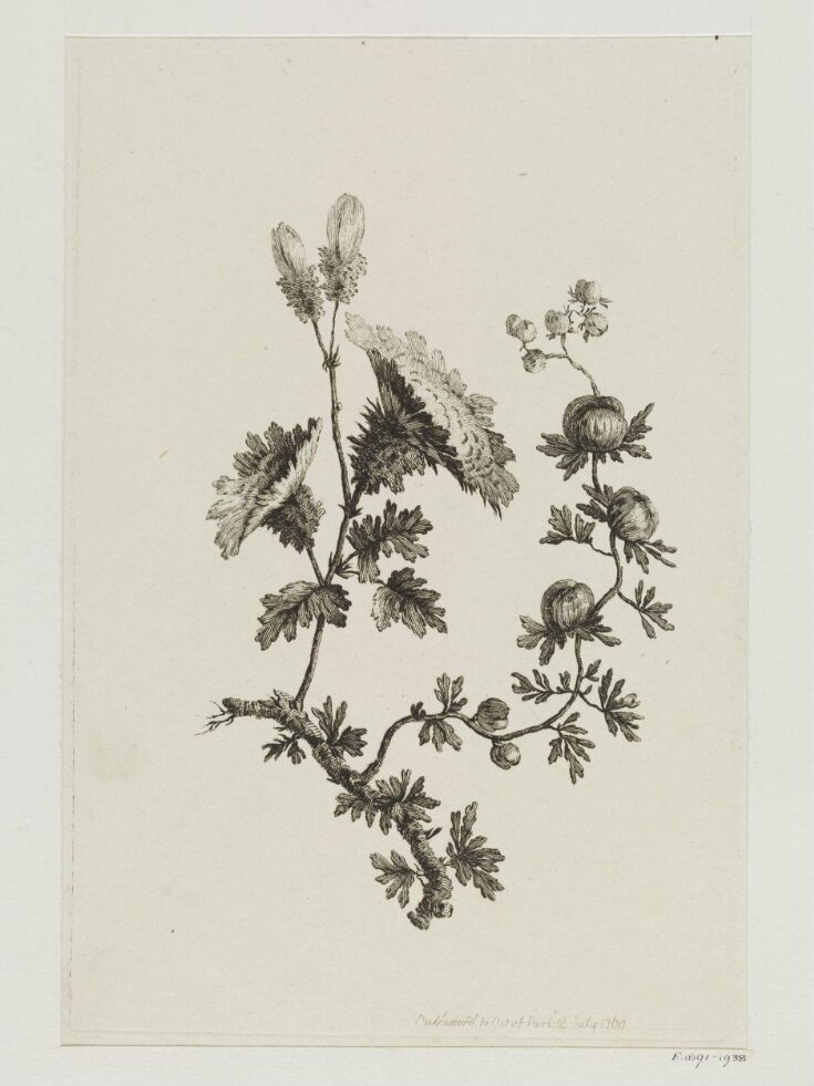 Recœil de fleurs de caprice inventé et dessiné par jean pillement ...