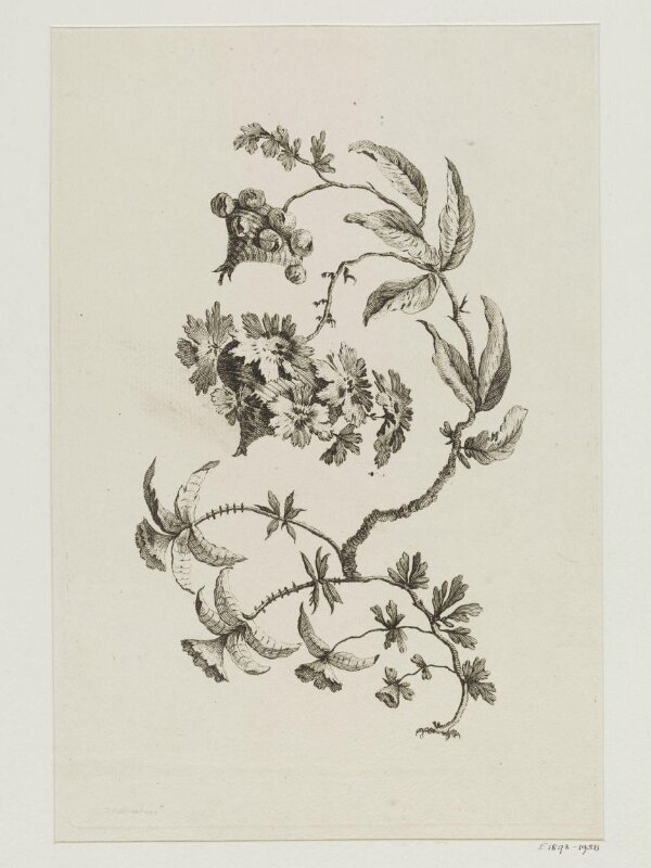 Recœil de fleurs de caprice inventé et dessiné par jean pillement ...