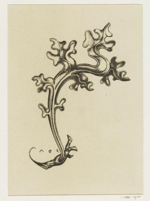 Heliogravure | Langlois | Unknown | V&A Explore The Collections