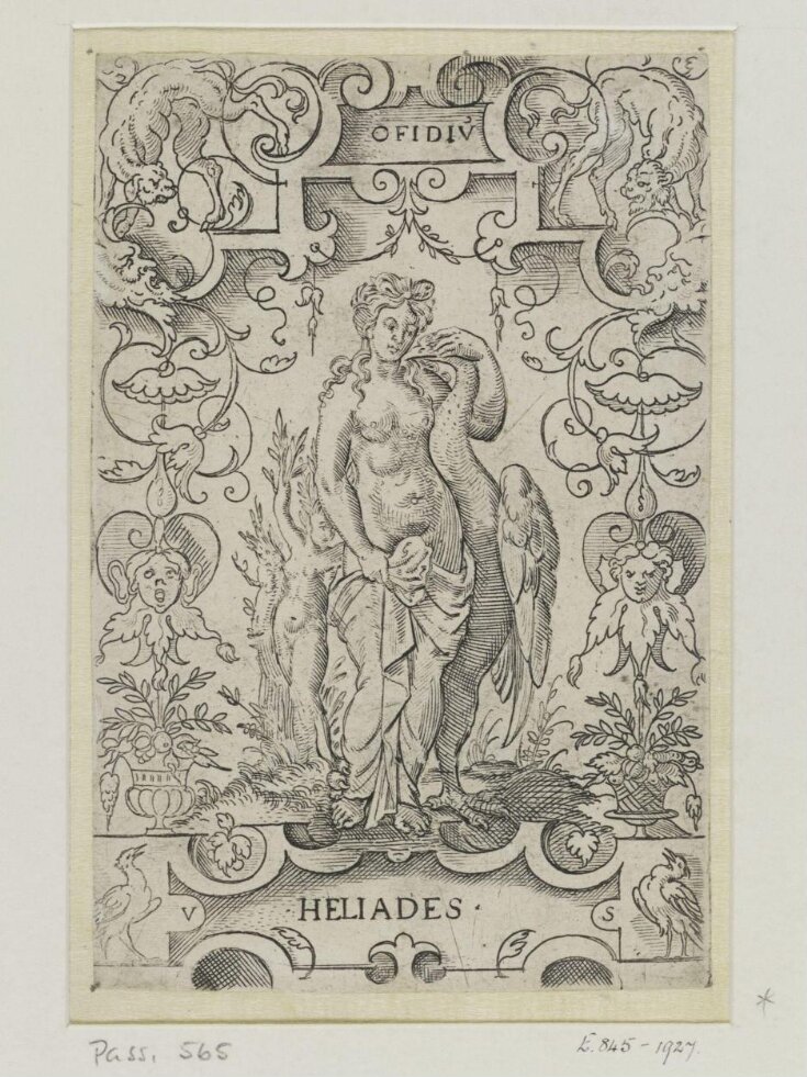 Heliades | Virgil Solis | V&A Explore The Collections