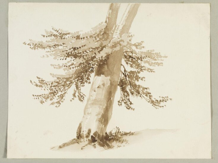 Drawing in album of 51 drawings and watercolours by James Duffield ...