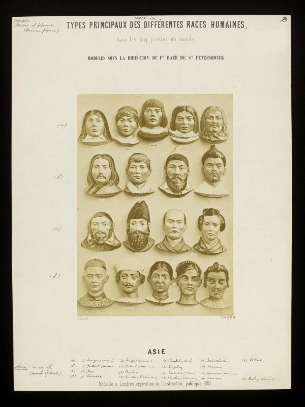 Principal Types of Different Human Races: Asia | V&A Explore The ...