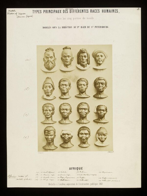 Principal Types of Different Human Races: Africa | V&A Explore The ...