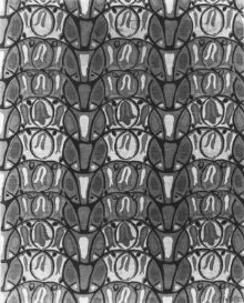 Furnishing Fabric | William Foxton | McLeish, Minnie | V&A Explore The ...