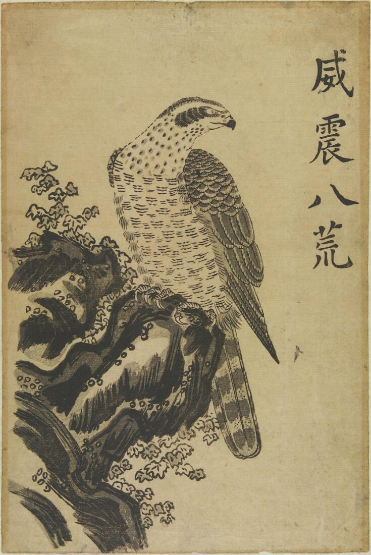 Hawk standing on rock | Keisai Eisen | V&A Explore The Collections
