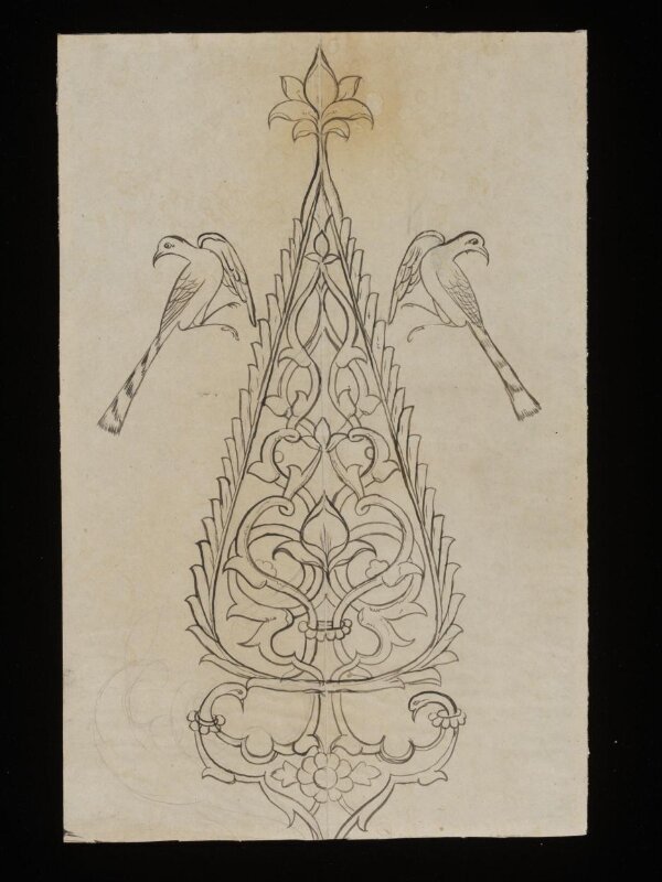 Drawing | Mirza Akbar | V&A Explore The Collections