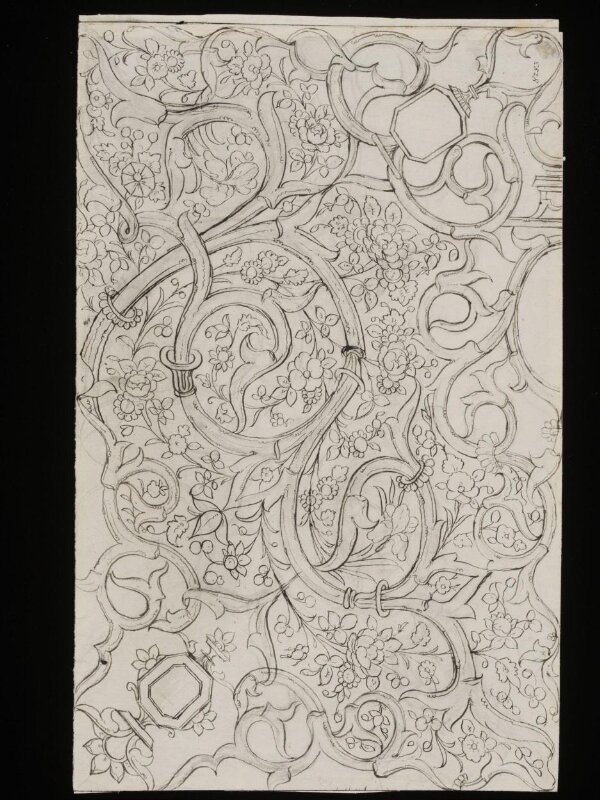 Drawing | Mirza Akbar | V&A Explore The Collections