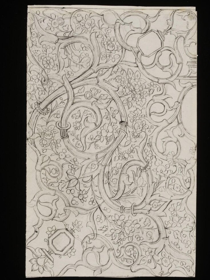 Drawing | Mirza Akbar | V&A Explore The Collections