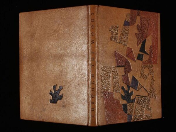 Through the woods: the English woodland-April to April | Edgar ...