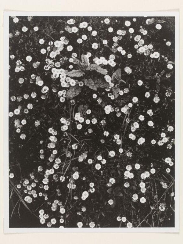 Photograph | Denis Brihat | V&A Explore The Collections