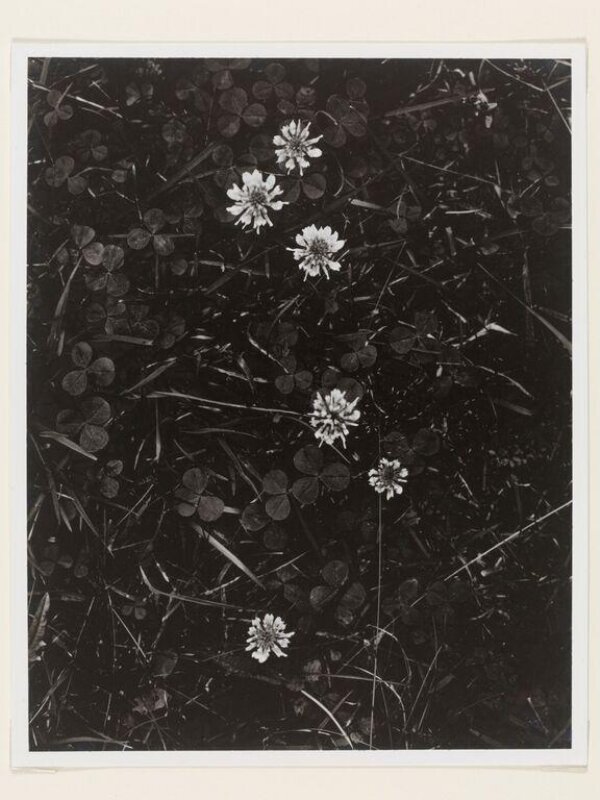 Photograph | Denis Brihat | V&A Explore The Collections