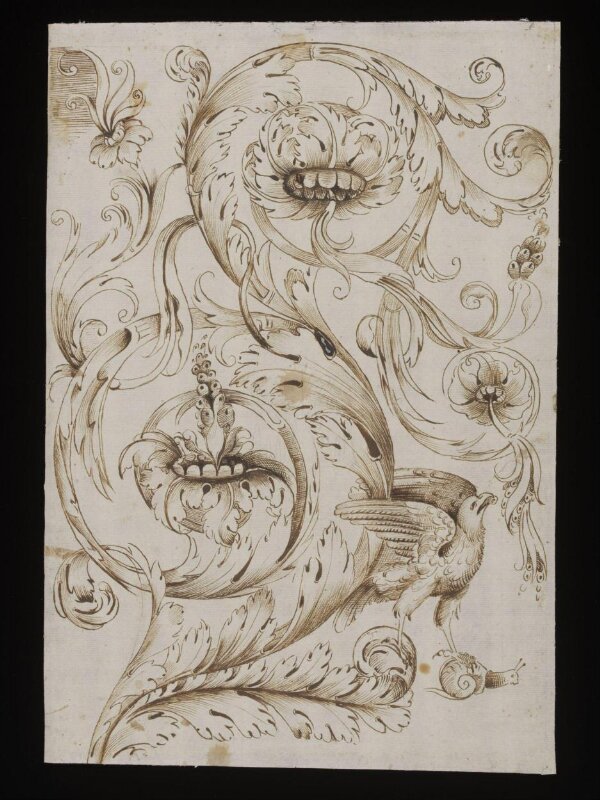 Decorative acanthus scrollwork with bird of prey and snail | Unknown ...