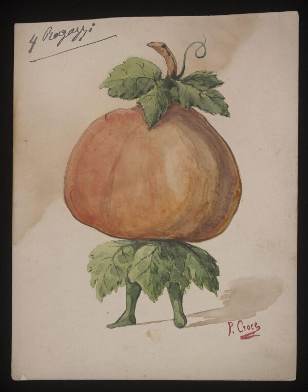 Costume design for a Squash | Croce, P | V&A Explore The Collections