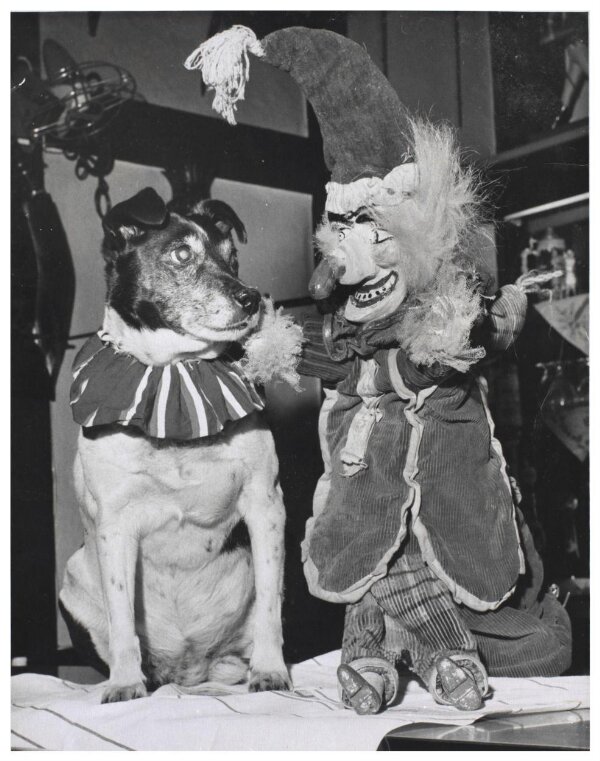 Toby the dog and Mr Punch in Professor Bert Codman's Punch & Judy show ...