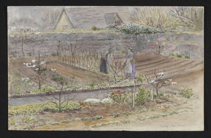 Watercolour | Beatrix Potter | V&A Explore The Collections