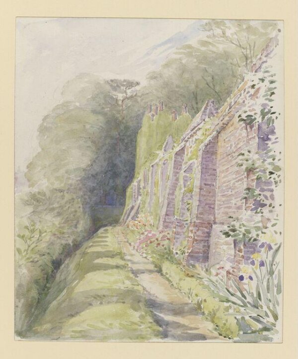 Drawing | Beatrix Potter | V&A Explore The Collections