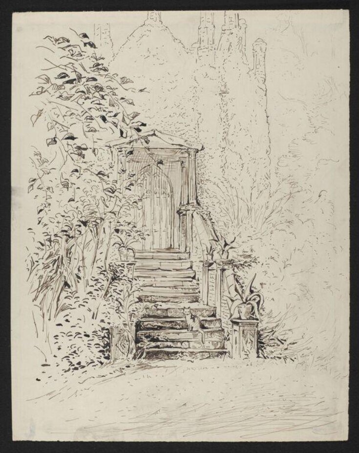 Drawing | Beatrix Potter | V&A Explore The Collections