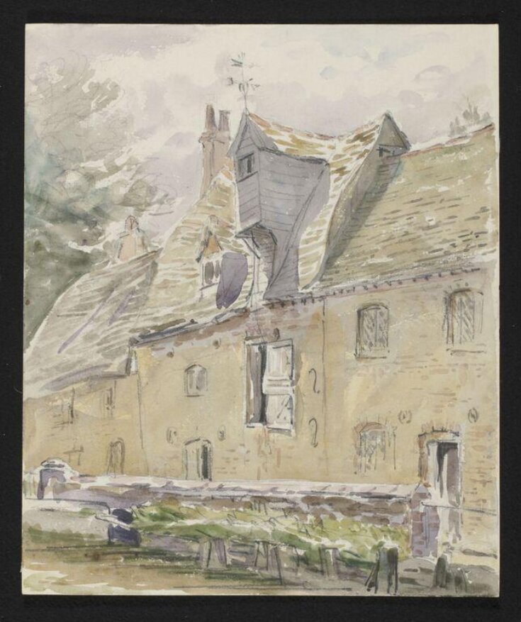 Drawing | Beatrix Potter | V&A Explore The Collections