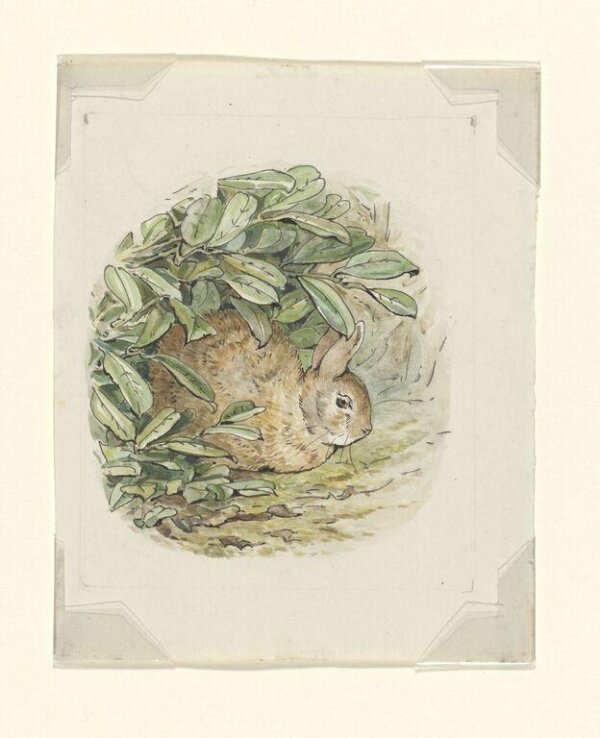 Watercolour | Beatrix Potter | V&A Explore The Collections