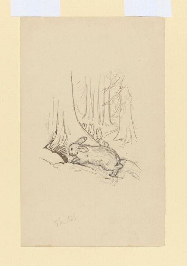 Drawing | Potter, Beatrix | V&A Explore The Collections