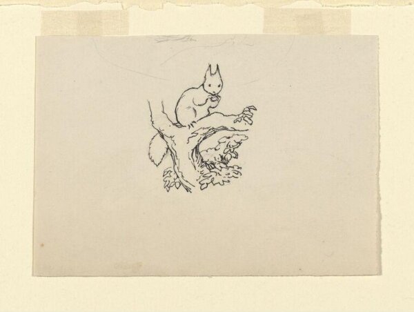 Drawing | Beatrix Potter | V&A Explore The Collections