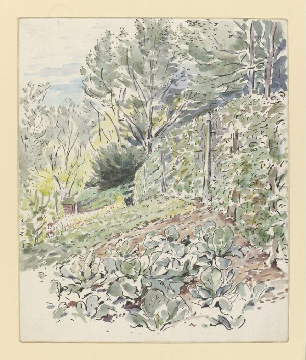 Drawing | Beatrix Potter | V&A Explore The Collections