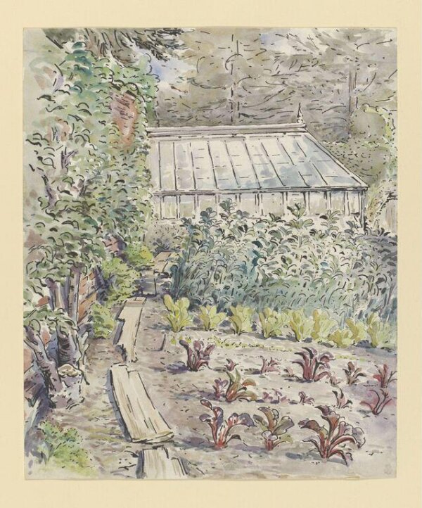 Watercolour | Beatrix Potter | V&A Explore The Collections