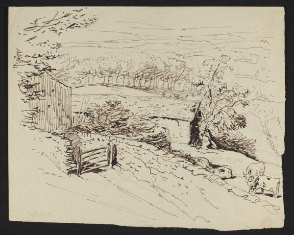 Drawing | Beatrix Potter | V&A Explore The Collections