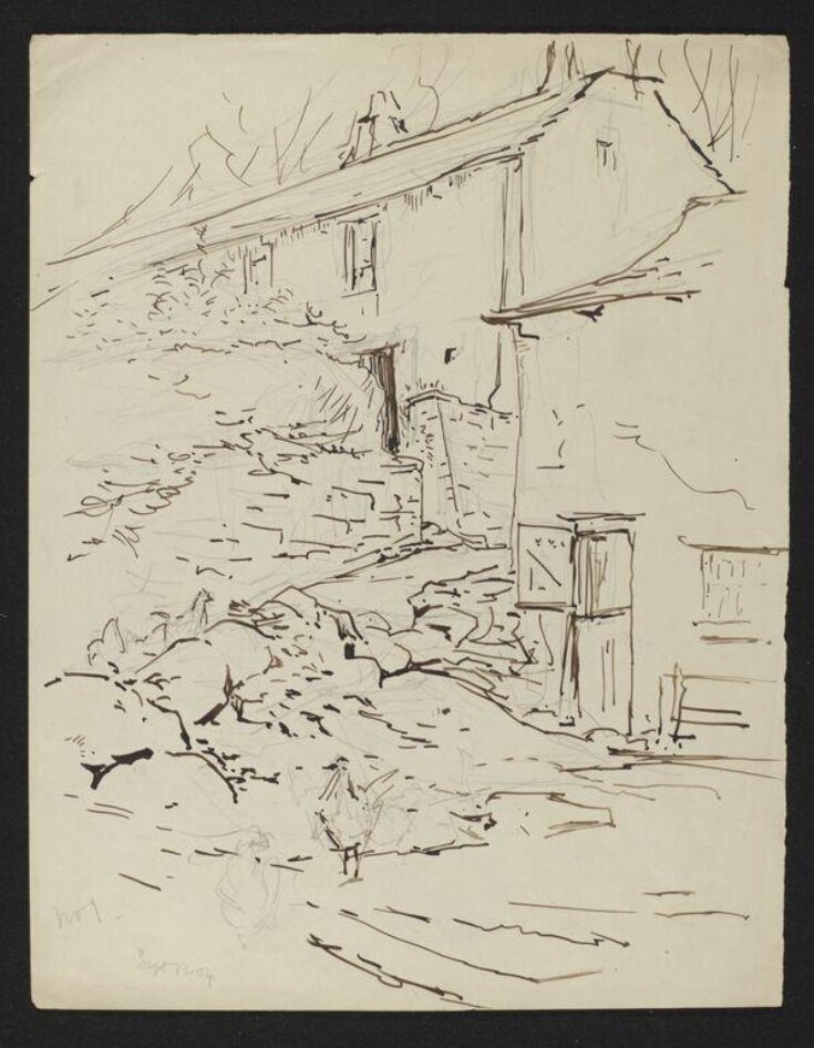 Drawing | Beatrix Potter | V&A Explore The Collections
