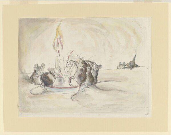 Drawing | Beatrix Potter | V&A Explore The Collections