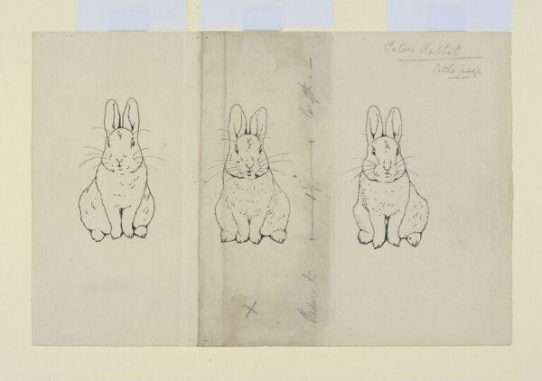 Drawing | Beatrix Potter | V&A Explore The Collections