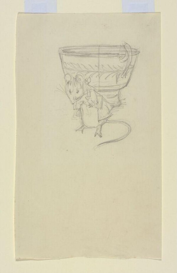 Gentleman mouse bowing beside a teacup | Beatrix Potter | V&A Explore ...