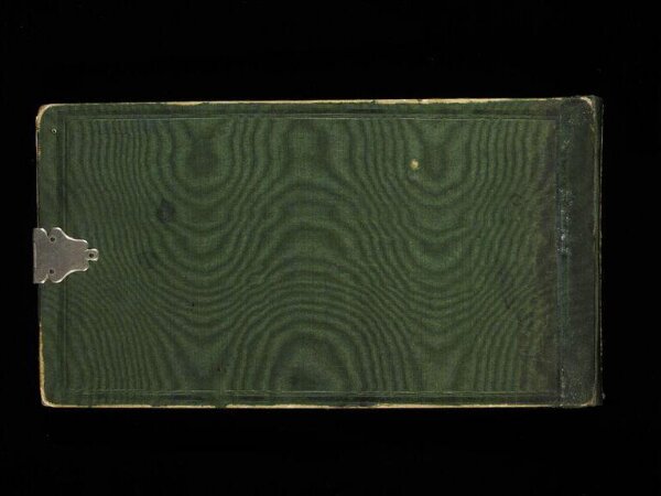 The authentic representation of the magnificent marriage procession and ...