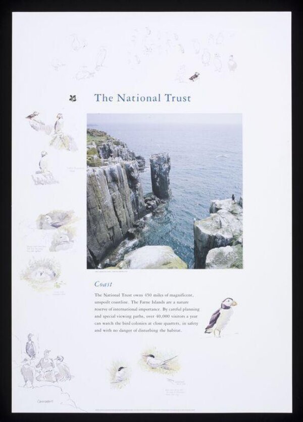 The National Trust. Coast. | Boys, David | Foord, Romas | Bogue, Moira ...