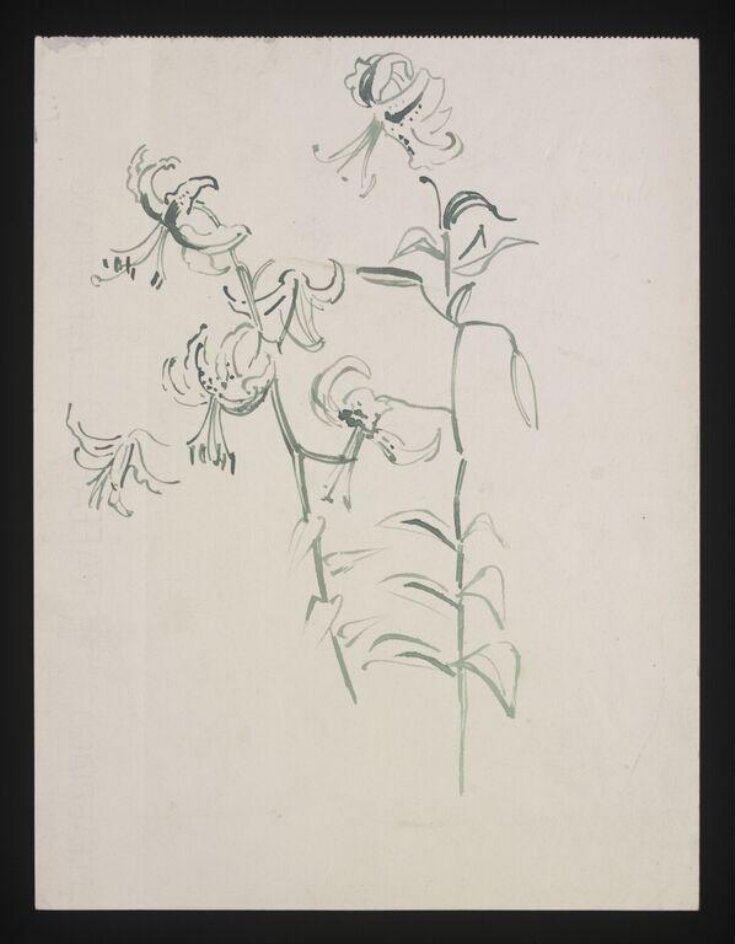 Drawing | Beaton, Cecil (Sir) | V&A Explore The Collections