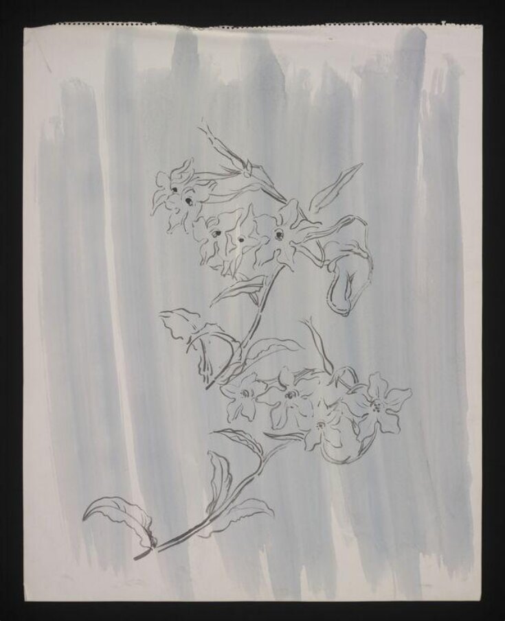 Drawing | Beaton, Cecil (Sir) | V&A Explore The Collections