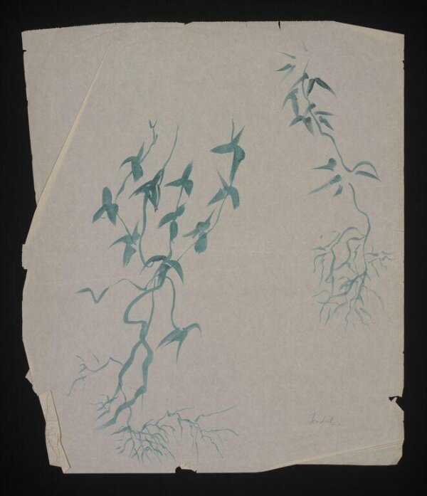 Drawing | Beaton, Cecil (Sir) | V&A Explore The Collections