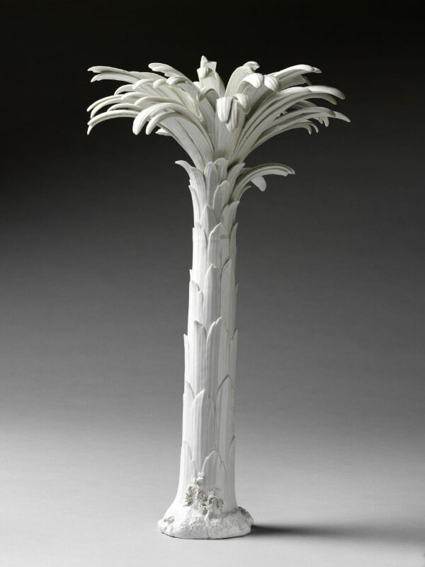 Palm Tree | Jüchtzer, Christian Gottfried | Schönheit, Johann Carl | V ...