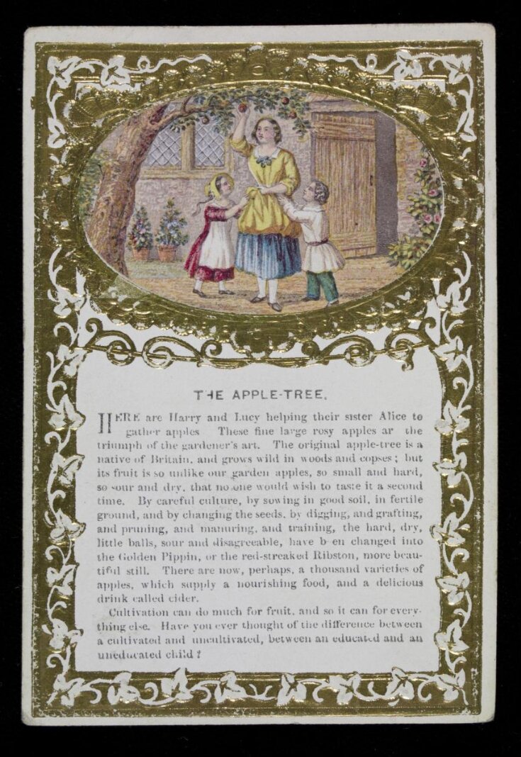 The Apple Tree | Unknown | V&A Explore The Collections