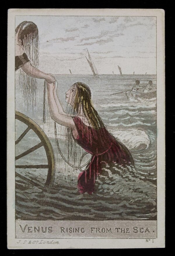 Venus rising from the Sea | Thomas Onwhyn | V&A Explore The Collections