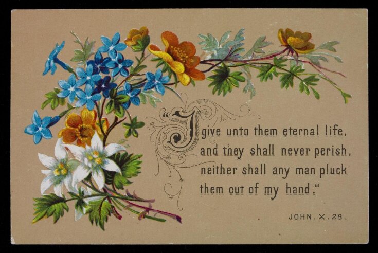 I give unto them eternal life, and they shall never perish, neither ...