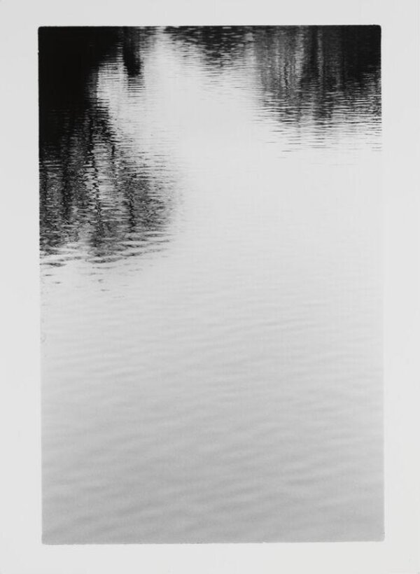 Weathering the Storm | Williams, Elizabeth | V&A Explore The Collections