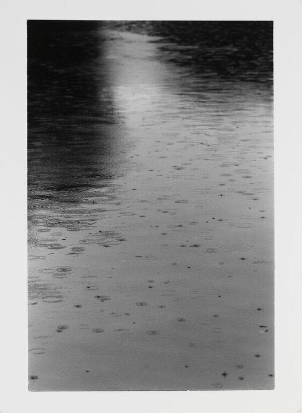 Weathering the Storm | Williams, Elizabeth | V&A Explore The Collections