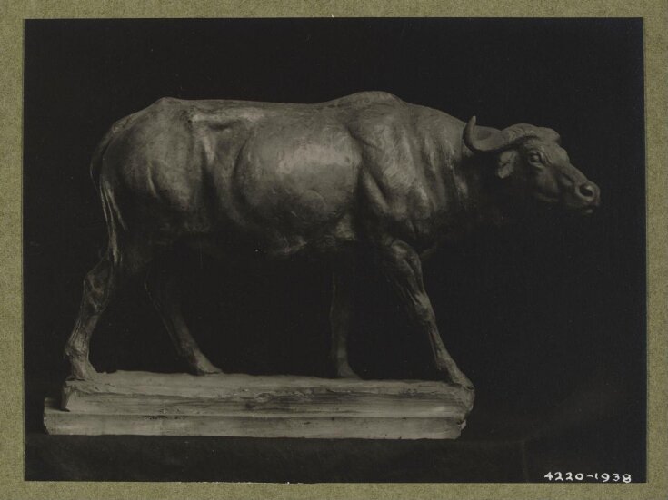 Photograph | unknown | V&A Explore The Collections