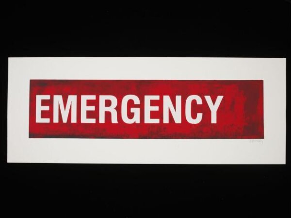 Emergency | Hennessy, Sadie | V&A Explore The Collections