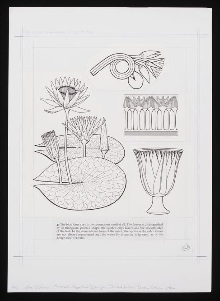 Design | Wilson, Eva (Lady) | | V&A Explore The Collections